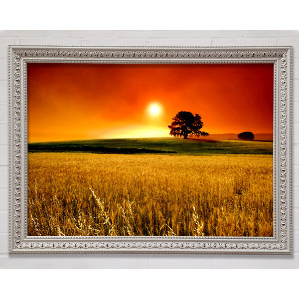 Bright Star Stunning Countryside Sunset - Single Picture Frame Print ...