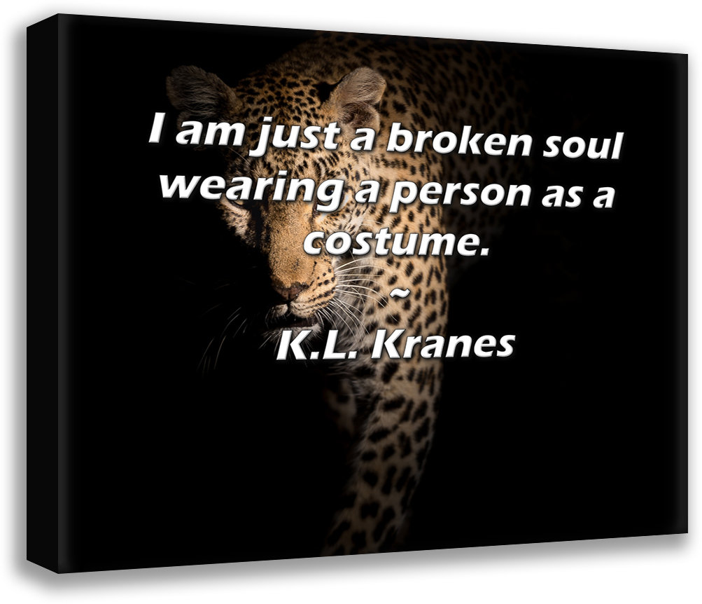 Ebern Designs Gallery Wrapped Canvas By K.L. Kranes: "I am just a ...