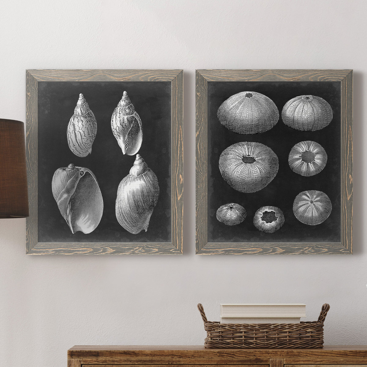 Dovecove Alabaster Shells III - 2 Piece Picture Frame Painting Print ...