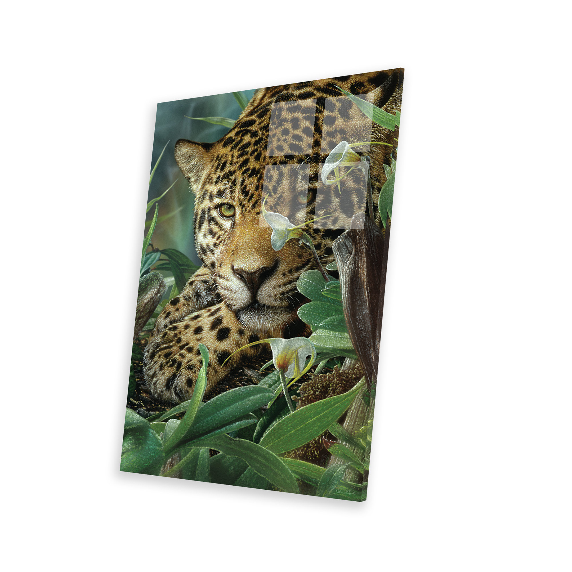 Latitude Run® Jaguar Haven (Vertical) Print On Acrylic Glass - Wayfair ...