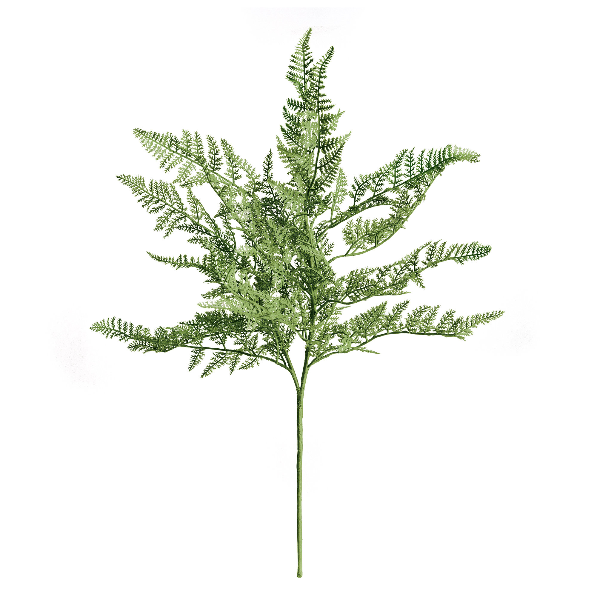 Primrue FERN BUSH STEM 25" | Wayfair