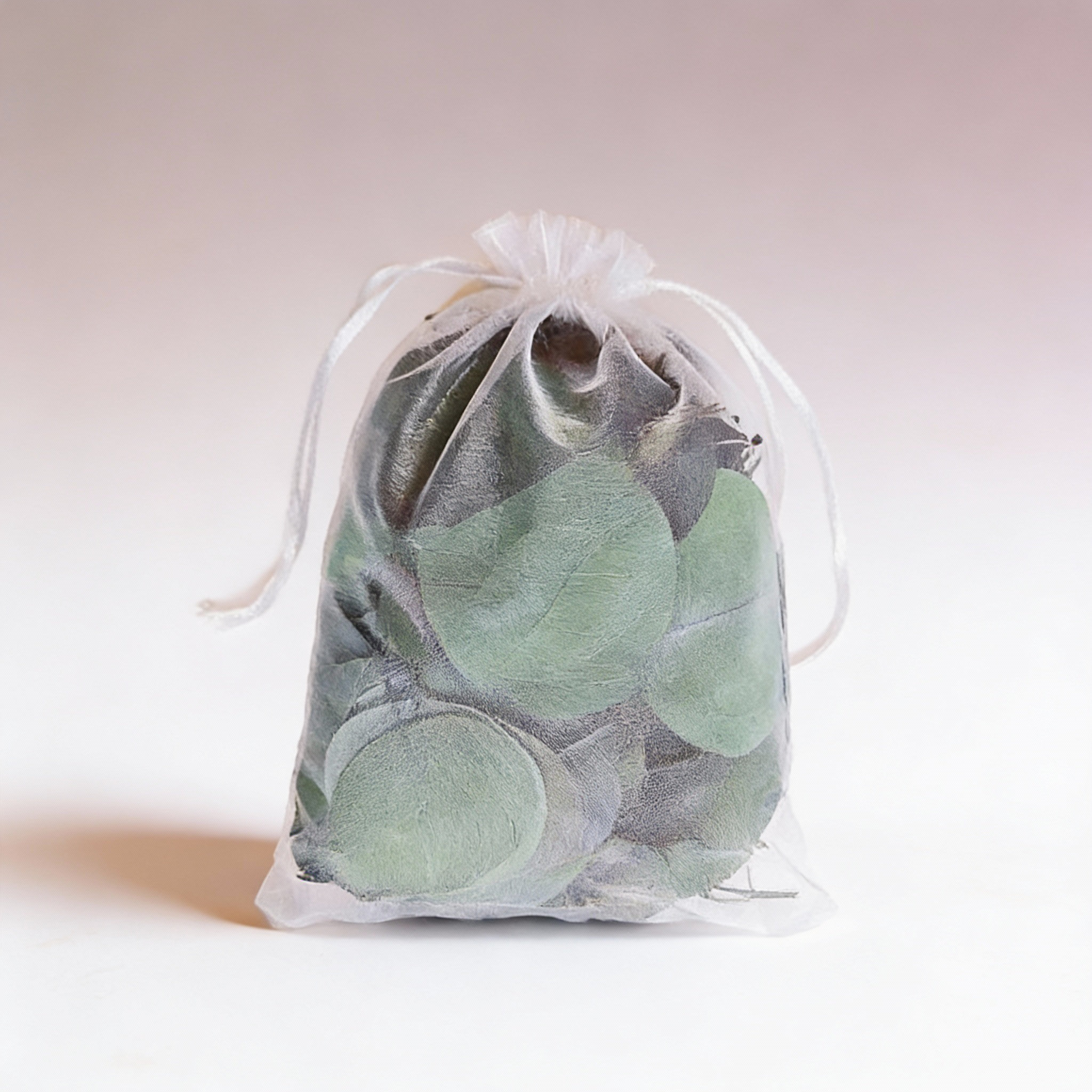 One Carter Corner Store 300+ Pcs Dried Real Eucalyptus Leaves For ...