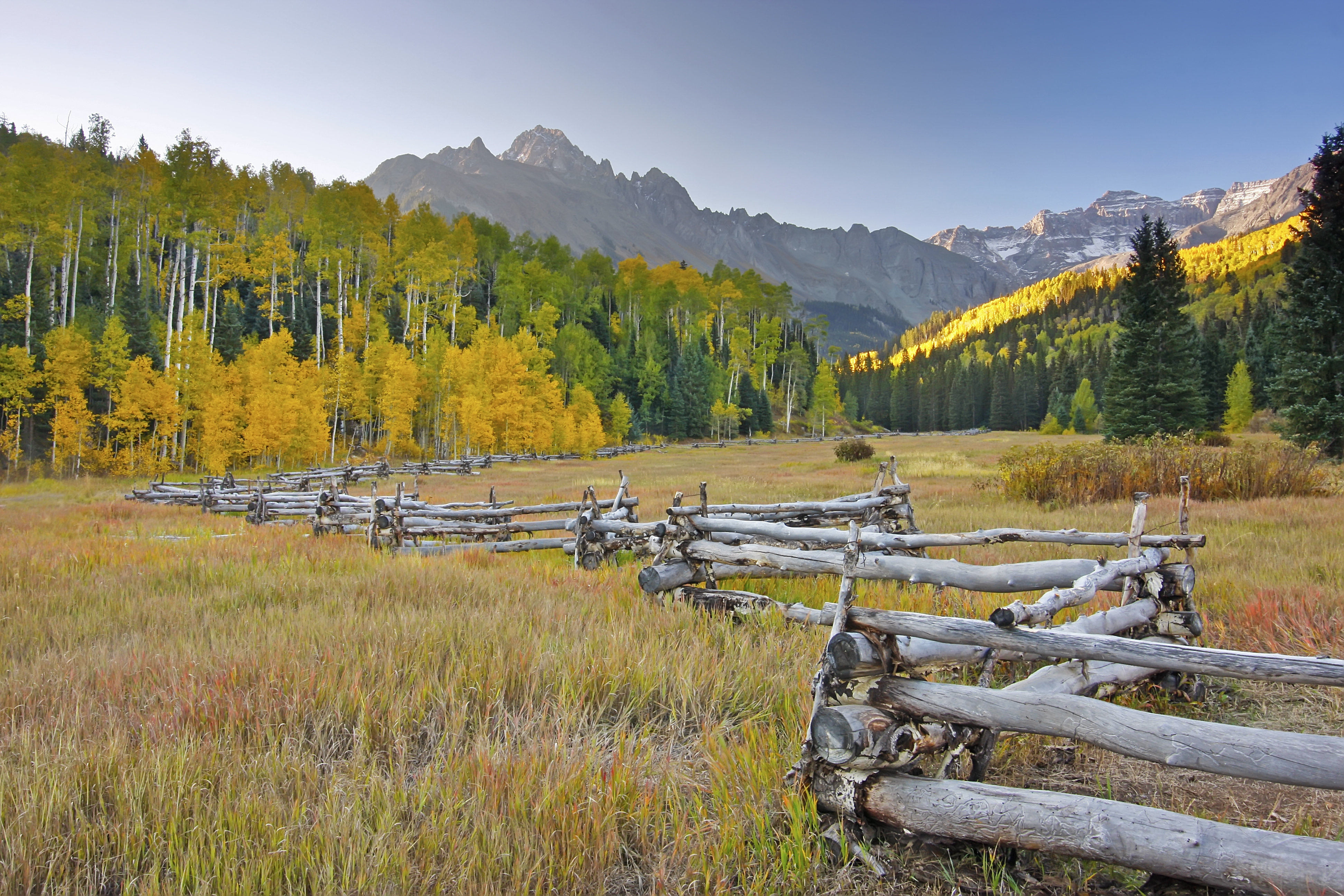 Millwood Pines Mount Sneffels Range, Colorado by Donyanedomam - Wrapped ...