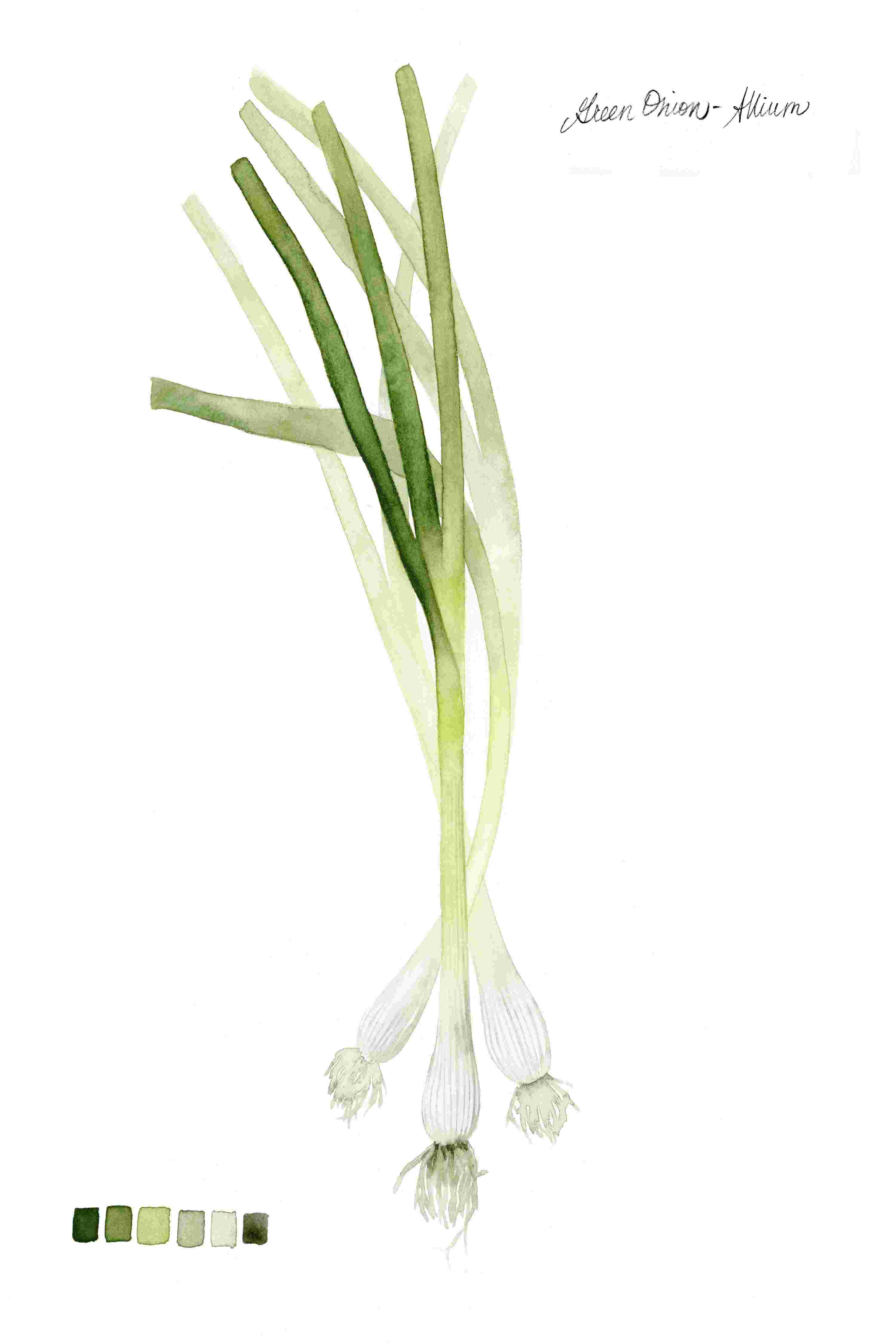 Rosalind Wheeler Root Vegetable V - Wayfair Canada