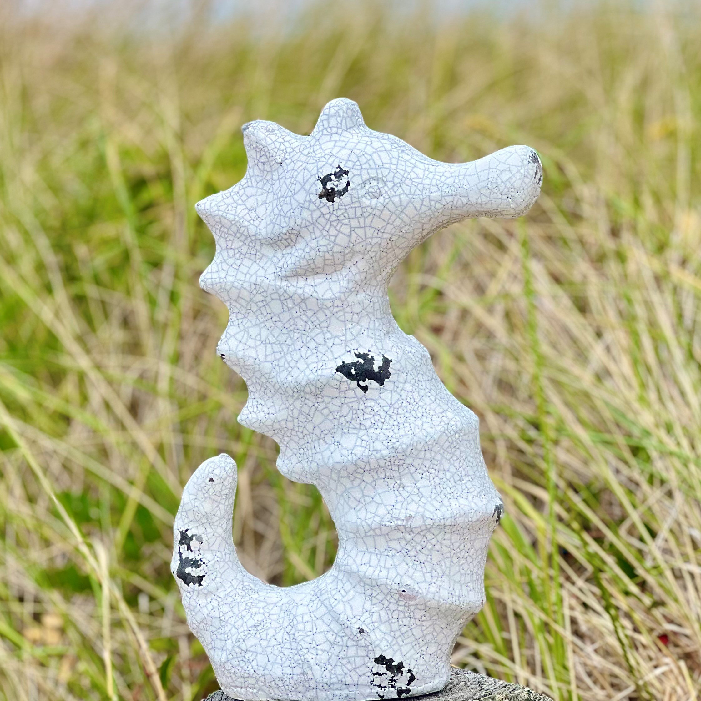 Arlmont & Co. Statue de jardin en céramique Shameeka Seahorse - Wayfair ...