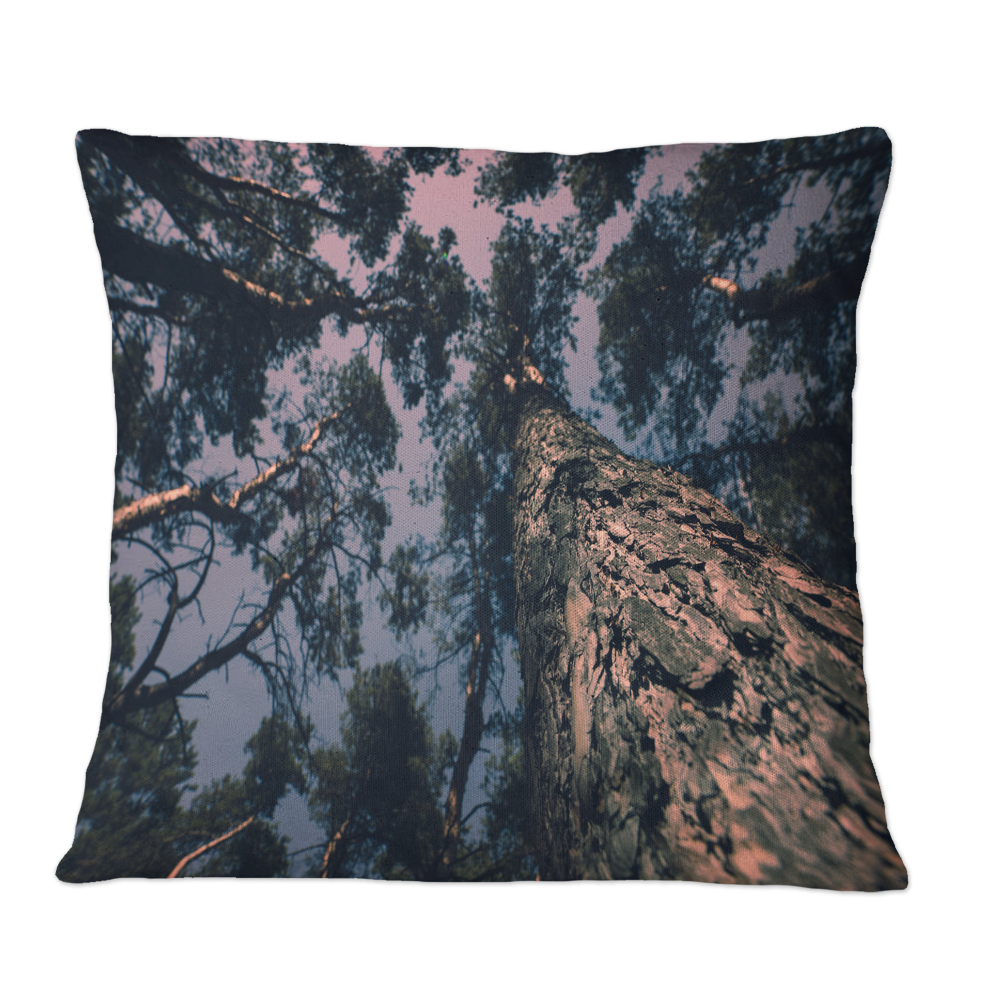 Design Art Magic Landscape With Pine Tree And Dramatic Sky I - Tropical ...