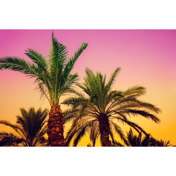 Bay Isle Home Kondo Palm Trees In Sunset - Wrapped Canvas Photograph ...