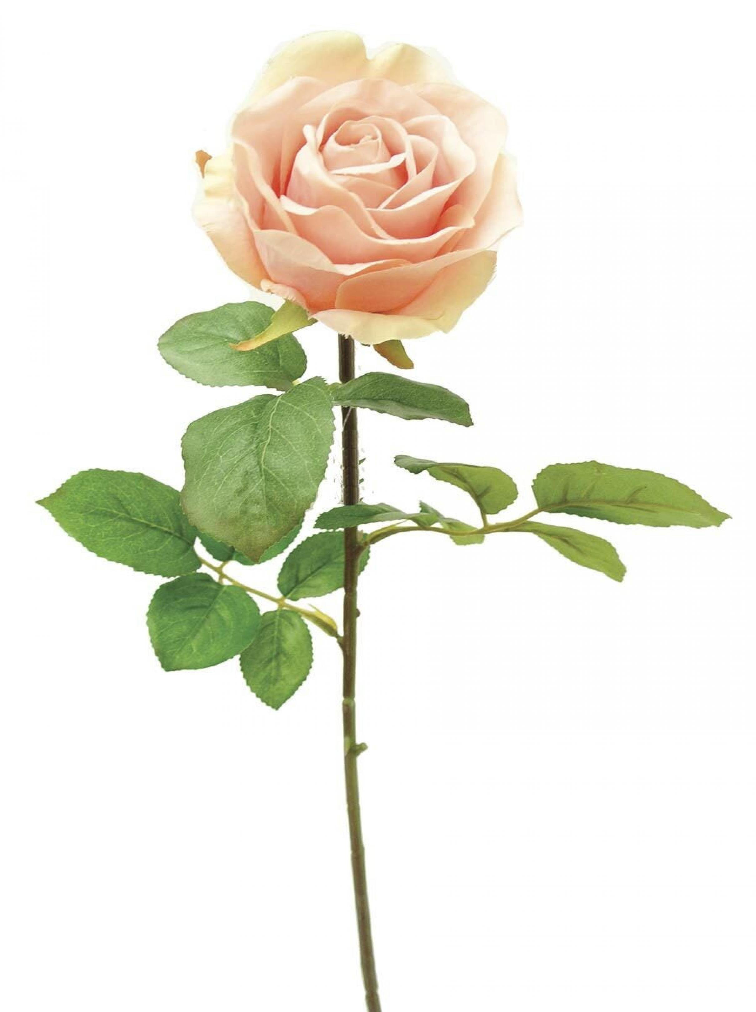 Fleur De Lis Living Pink Victoria Rose Artificial Flower - Wayfair Canada