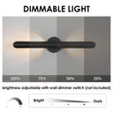 Joss & Main Coco 2 - Light Vanity Light & Reviews - Wayfair Canada