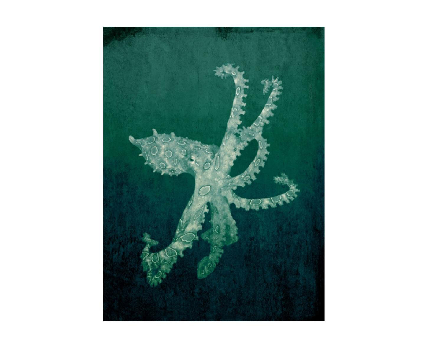 Chelsea Art Studio Marine Collection VI by GI Lab - Graphic Art | Perigold