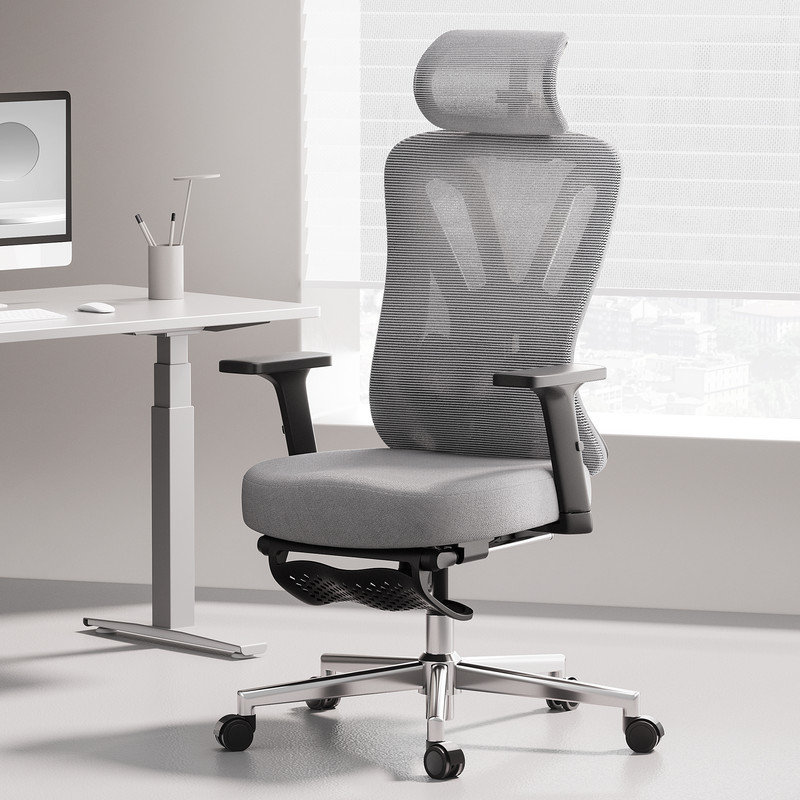 Inbox Zero Lawryn Hbada P5 Ergonomic Office Chair with Spring Cushion ...