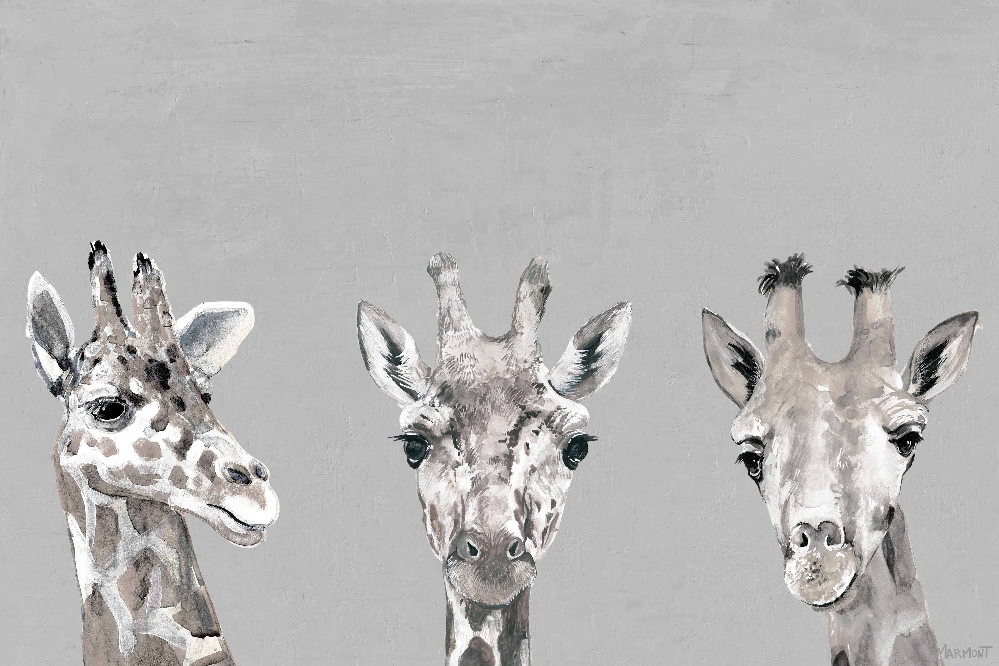 Harriet Bee Matthias Giraffe Poses Print On Wrapped Canvas Art ...