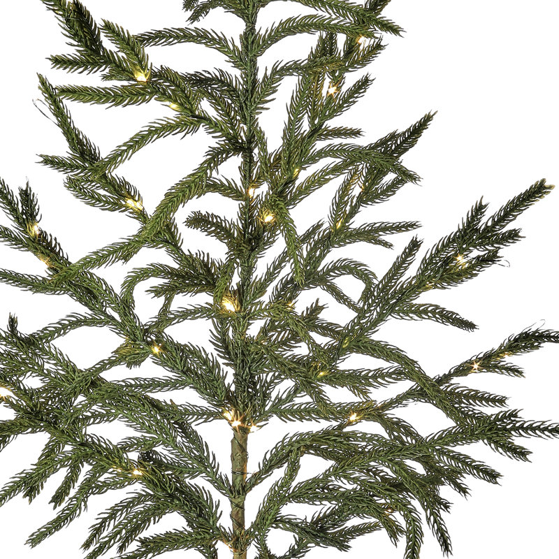 Regency International 38" LED Natural Touch Norfolk Pine Spray Set of 2 ...