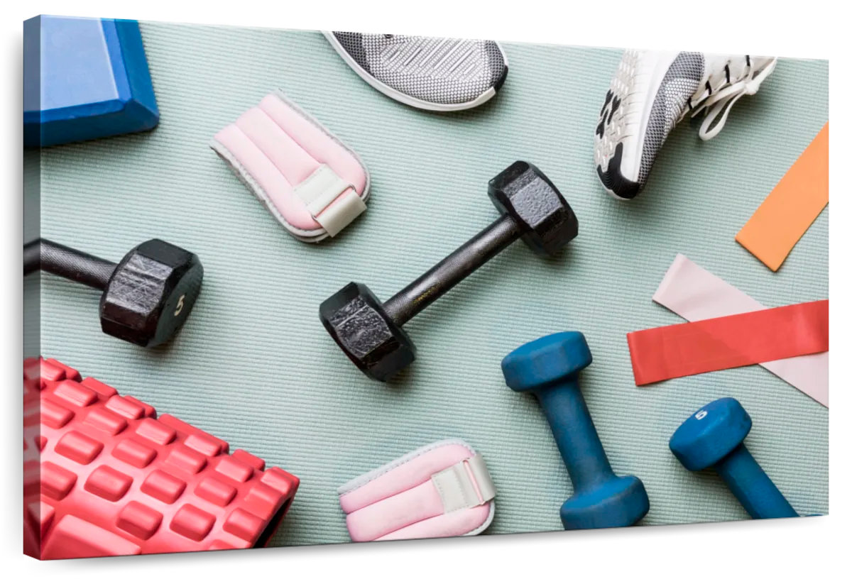 Ebern Designs Sireci Gym Exercise Gear | Wayfair