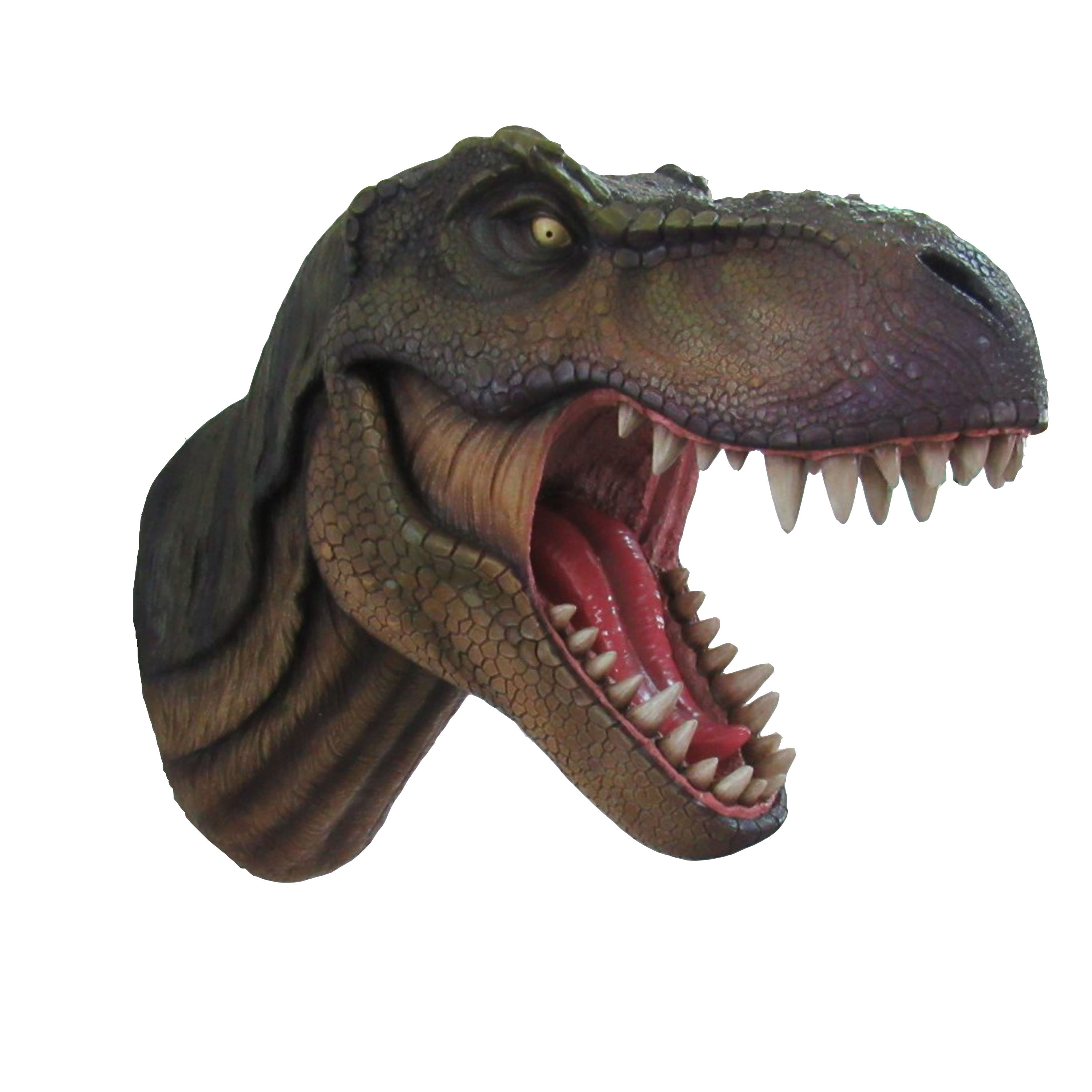 Trinx Tyrannosaurus Rex Head Bust Large Sculpture | Dinosaur Trophy ...