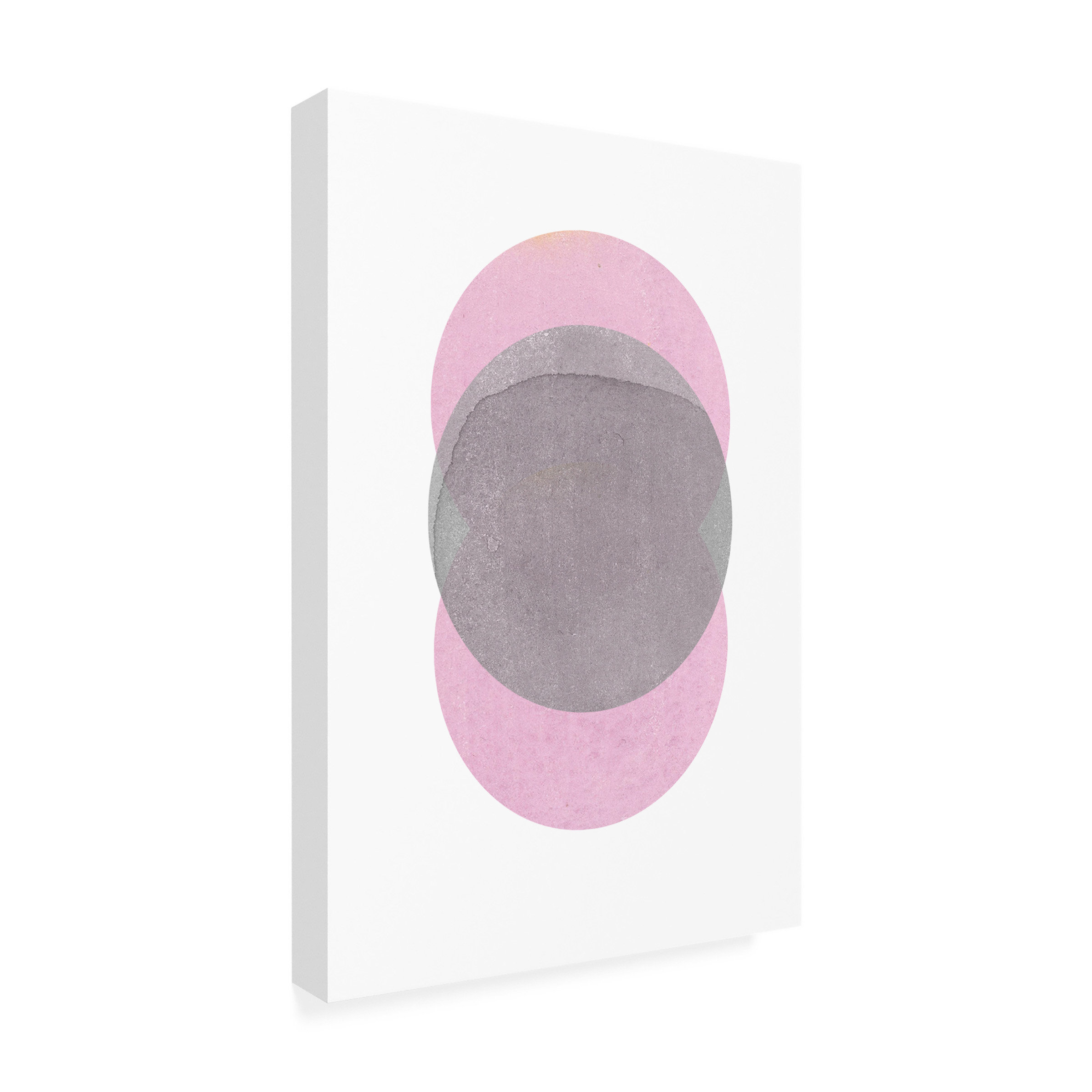 Wrought Studio Louise Van Terheijden Gray Pink Circles Canvas Art ...