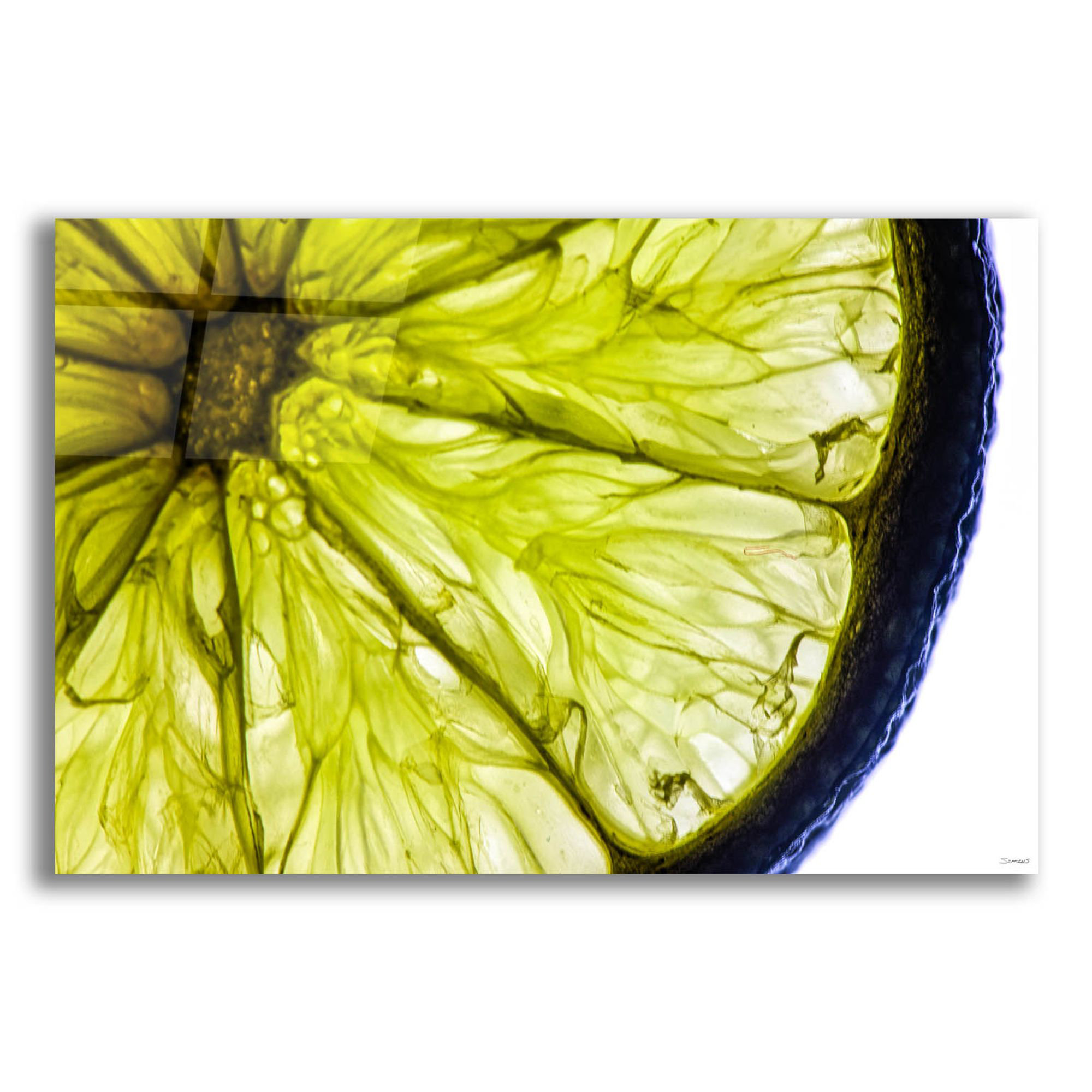 Bayou Breeze Fruit Macros 04 On Plastic/Acrylic by Gordon Semmens Print ...