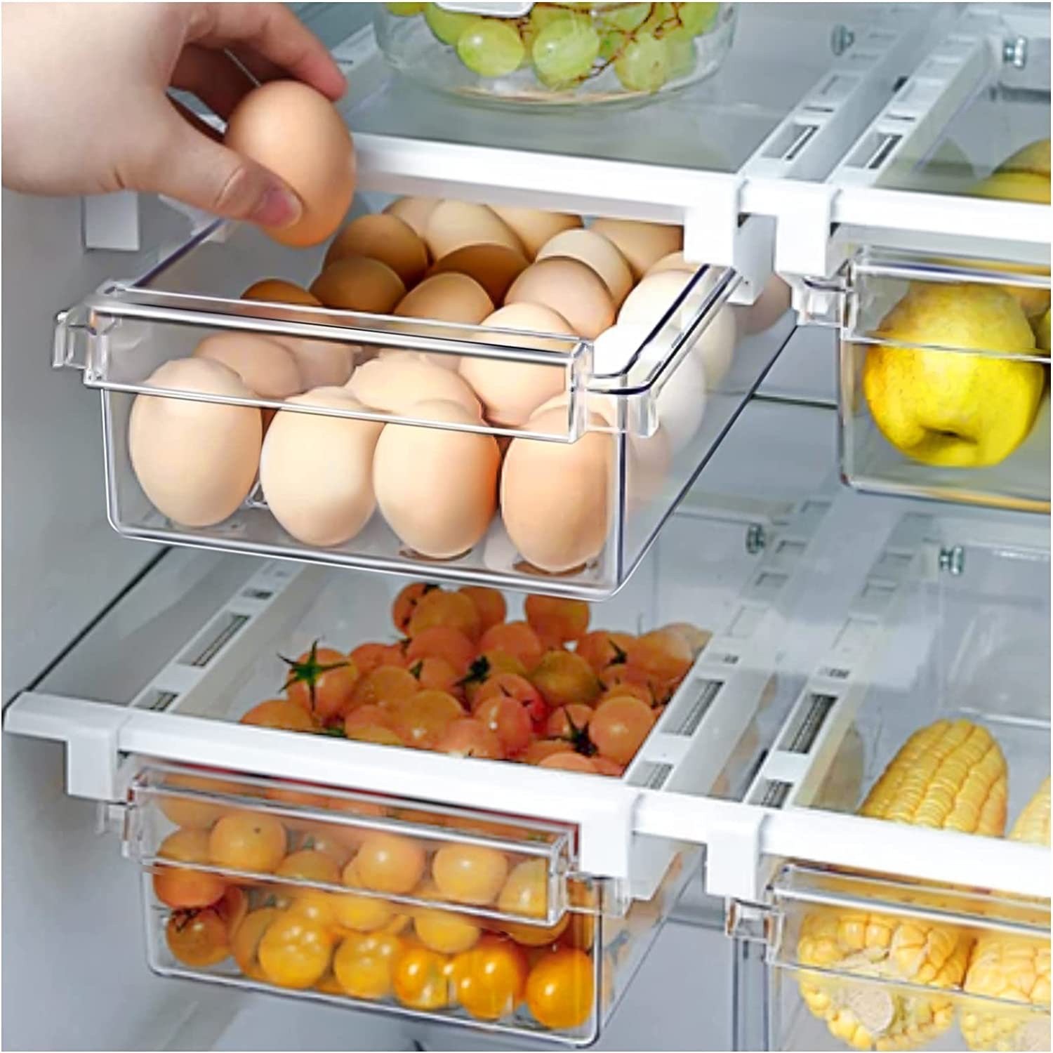 Prep & Savour Clivens Food Storage Container - Wayfair Canada