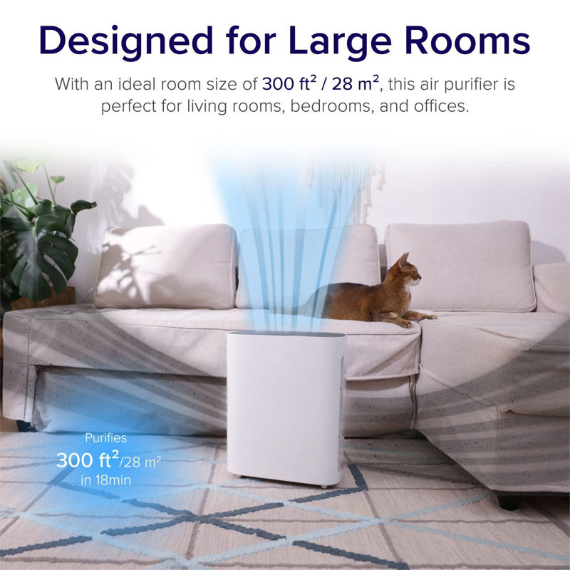 ColorLife Tabletop Air Purifier with HEPA Filter | Wayfair