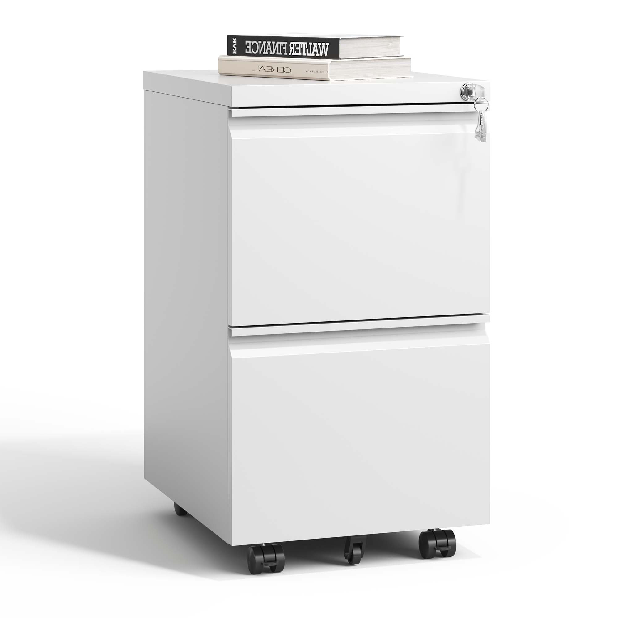 Inbox Zero Markiese 14.69'' W Metal 2-Drawer Vertical Mobile File ...