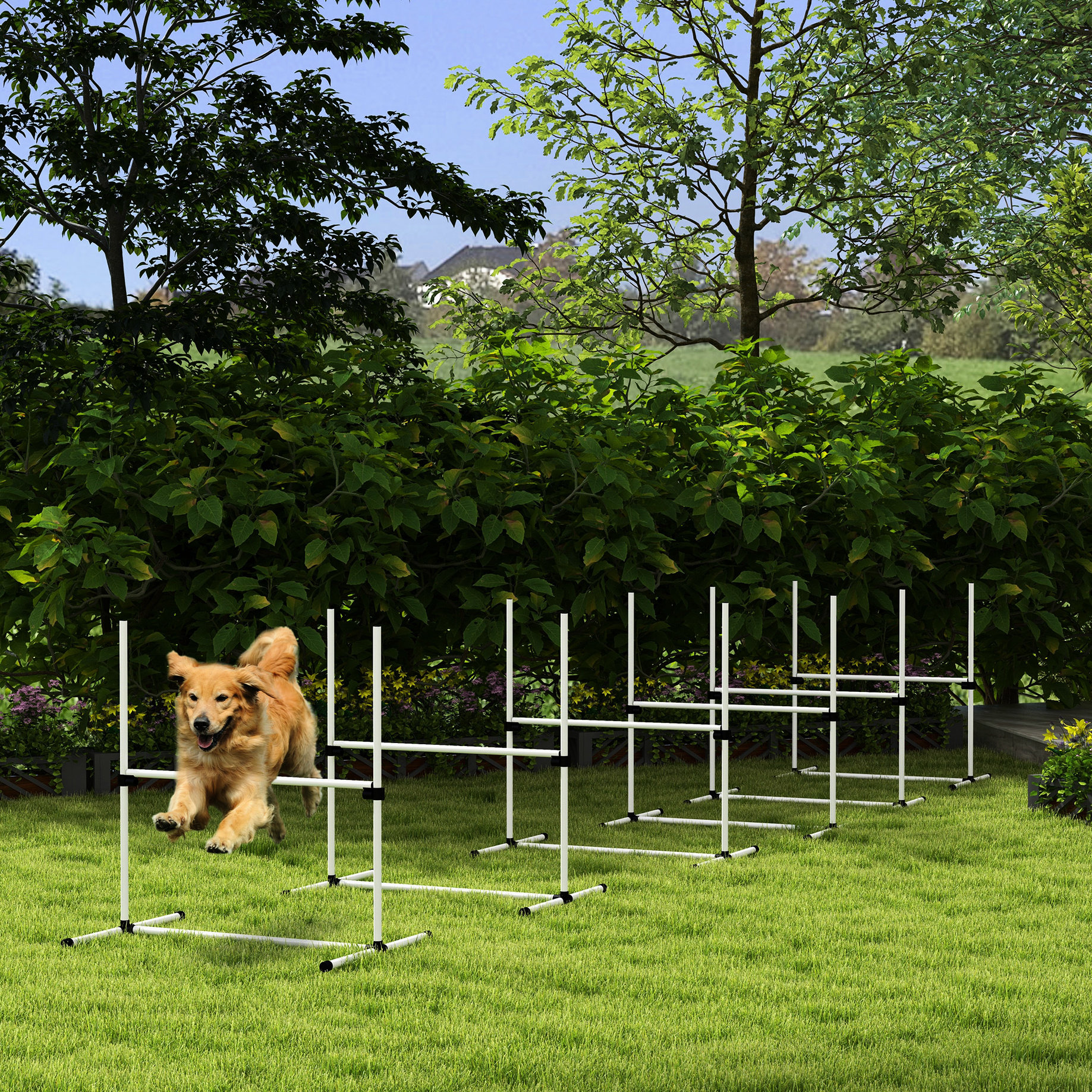 Tucker Murphy Pet™ Dog Agility Training : 6 Jumps With Adjustable ...