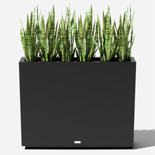 Modern Black Planters | AllModern