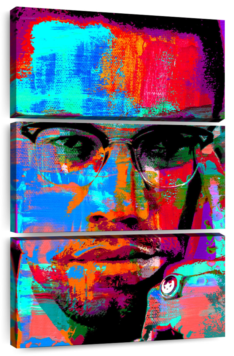 Elephant Stock Malcolm X II | Wayfair