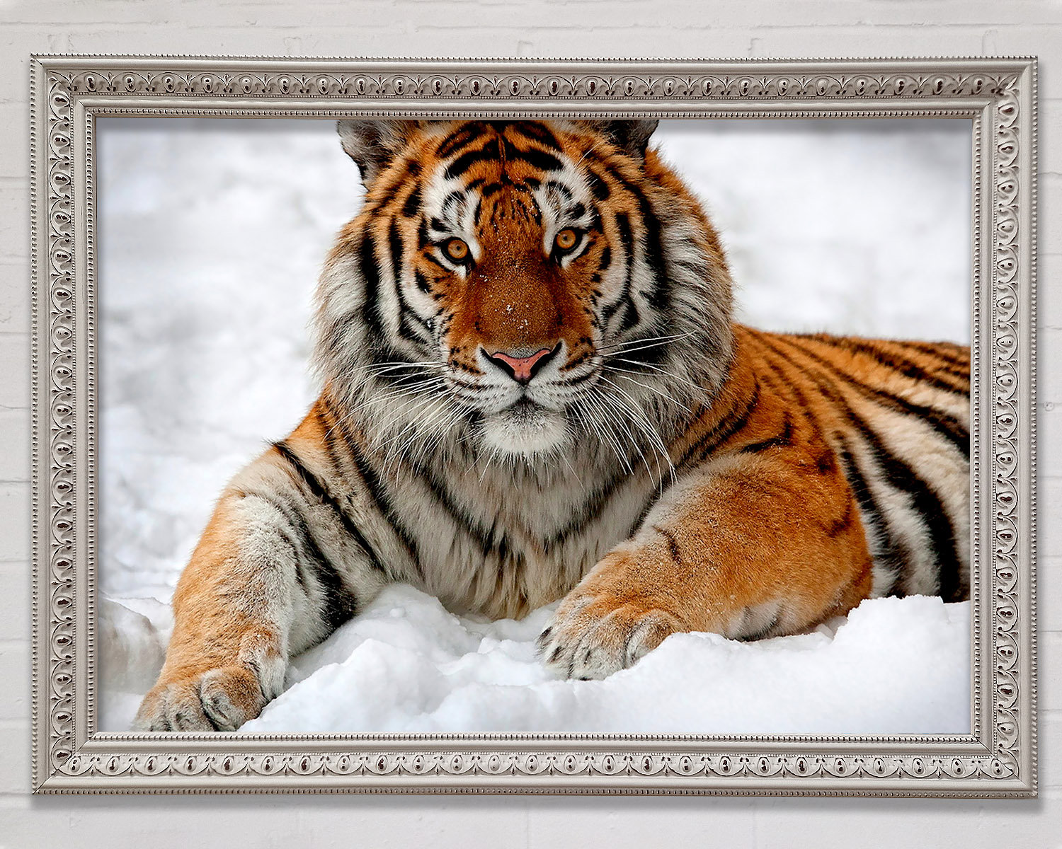 Bright Star Tiger In Snow - Print | Wayfair.co.uk