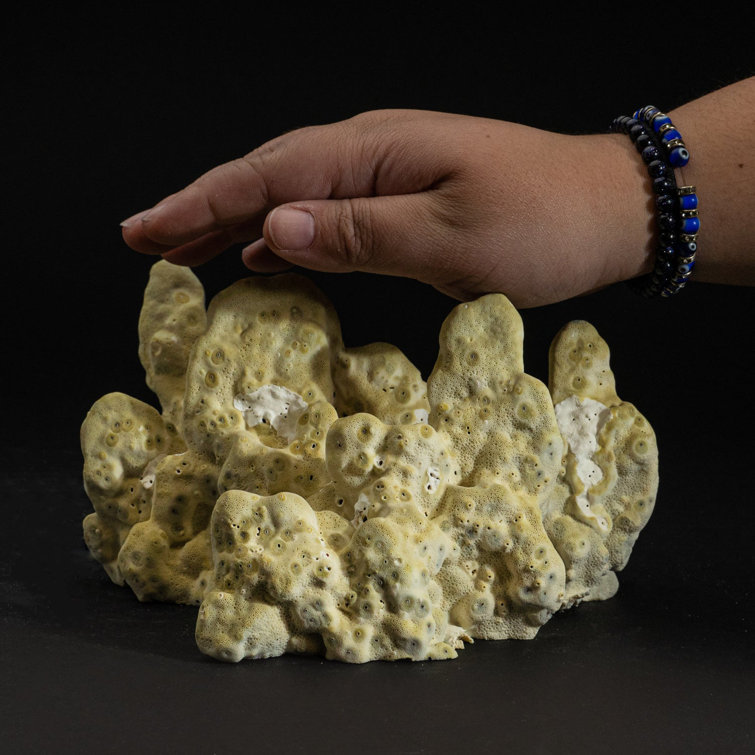 Astro Gallery of Gems Genuine Natural Bright Yellow/Green/Brown Fire ...