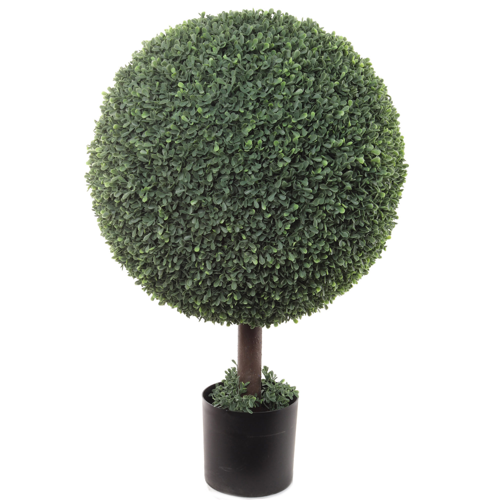 Primrue Realistic Artificial Boxwood Topiary in Pot - Wayfair Canada
