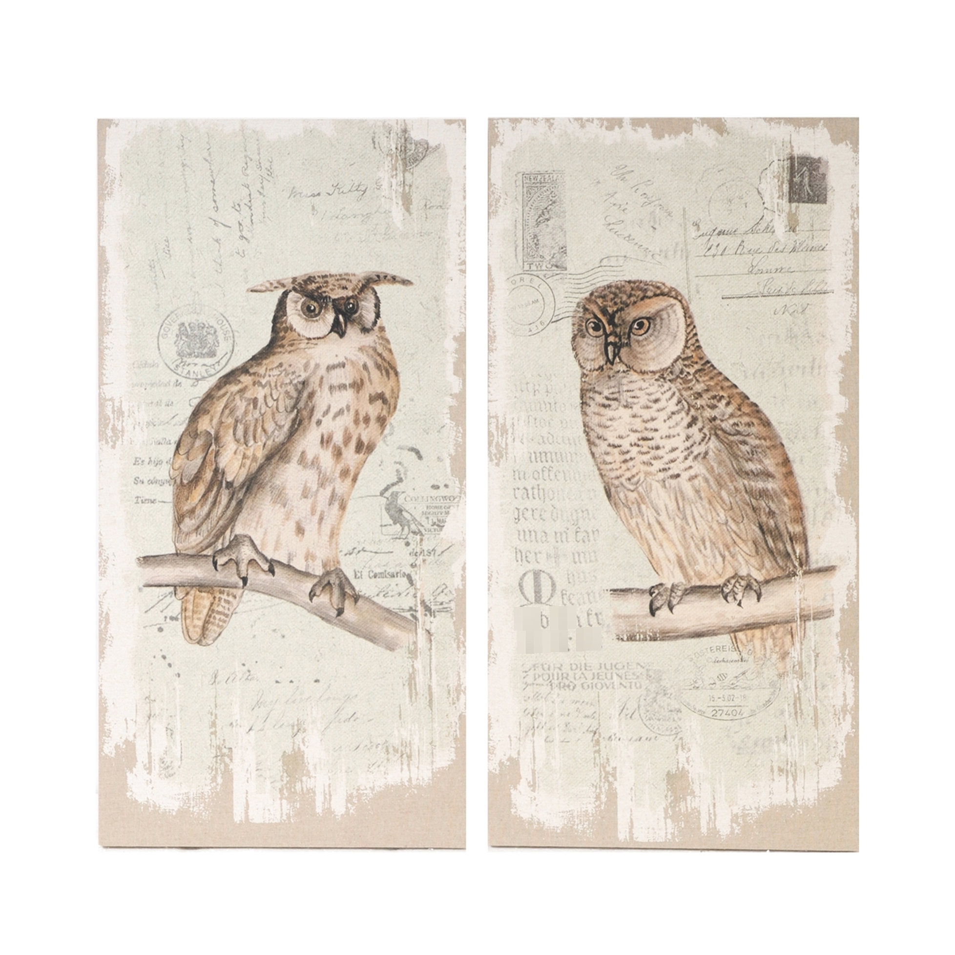 Mercer41 2Pcs Vintage Look Owl Prints, 39.5X20" Multicolor Rectangle ...