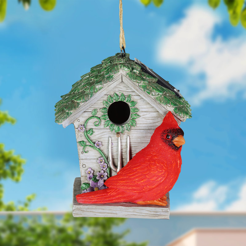 Exhart Solar Cardinal Hanging Bird House, 6 by 8 Inches & Reviews | Wayfair