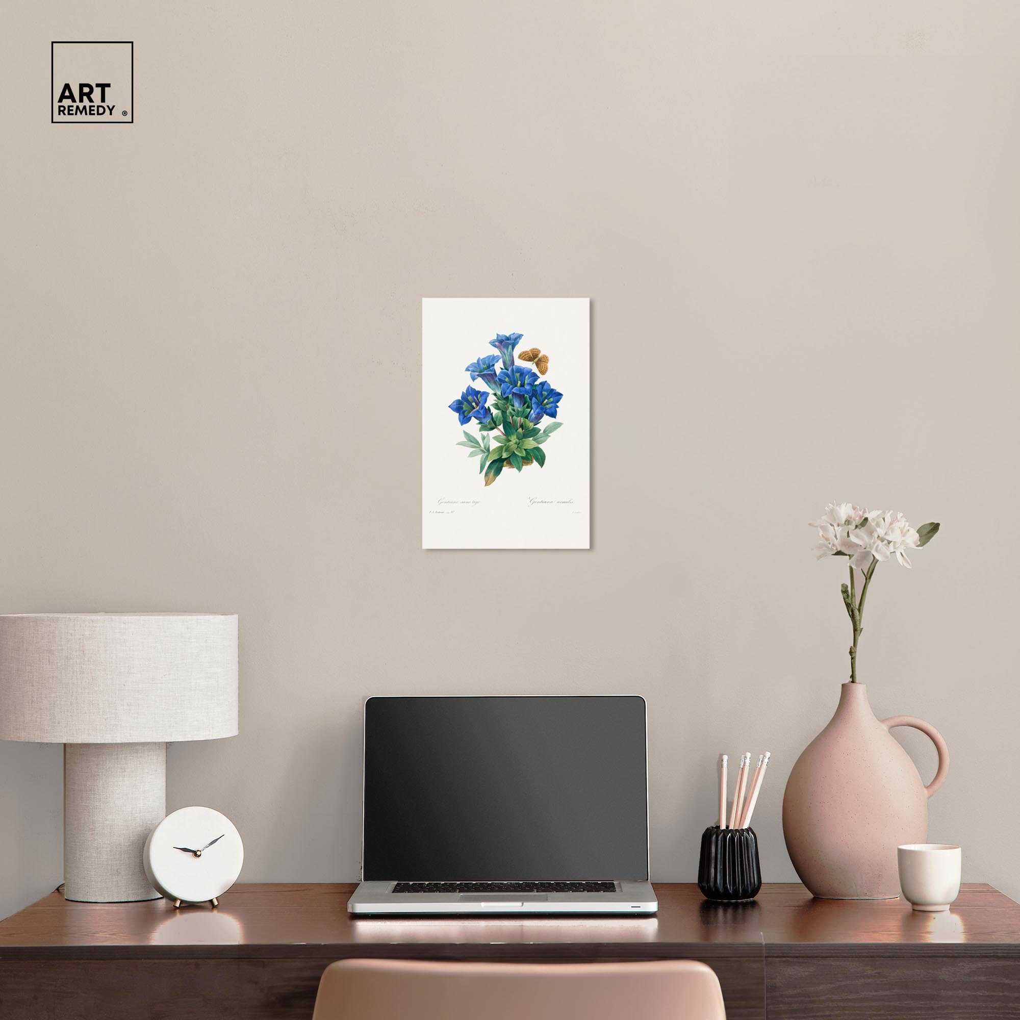 Art Remedy Botanical Prints Canvas, Gentiana Acaulis by Pierre-Joseph ...