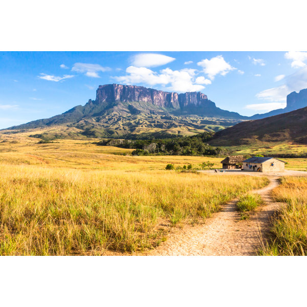 Millwood Pines Anamary Mount Roraima On Canvas by Marabelo Print ...