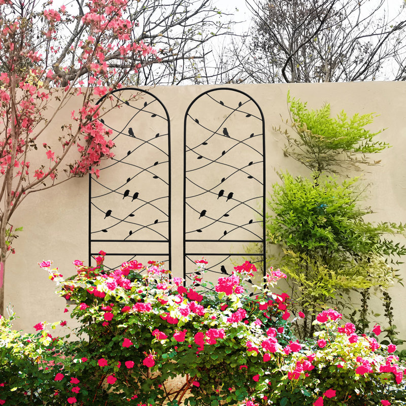 Red Barrel Studio Rustproof Metal Garden Trellis, For Rose , Outdoor ...