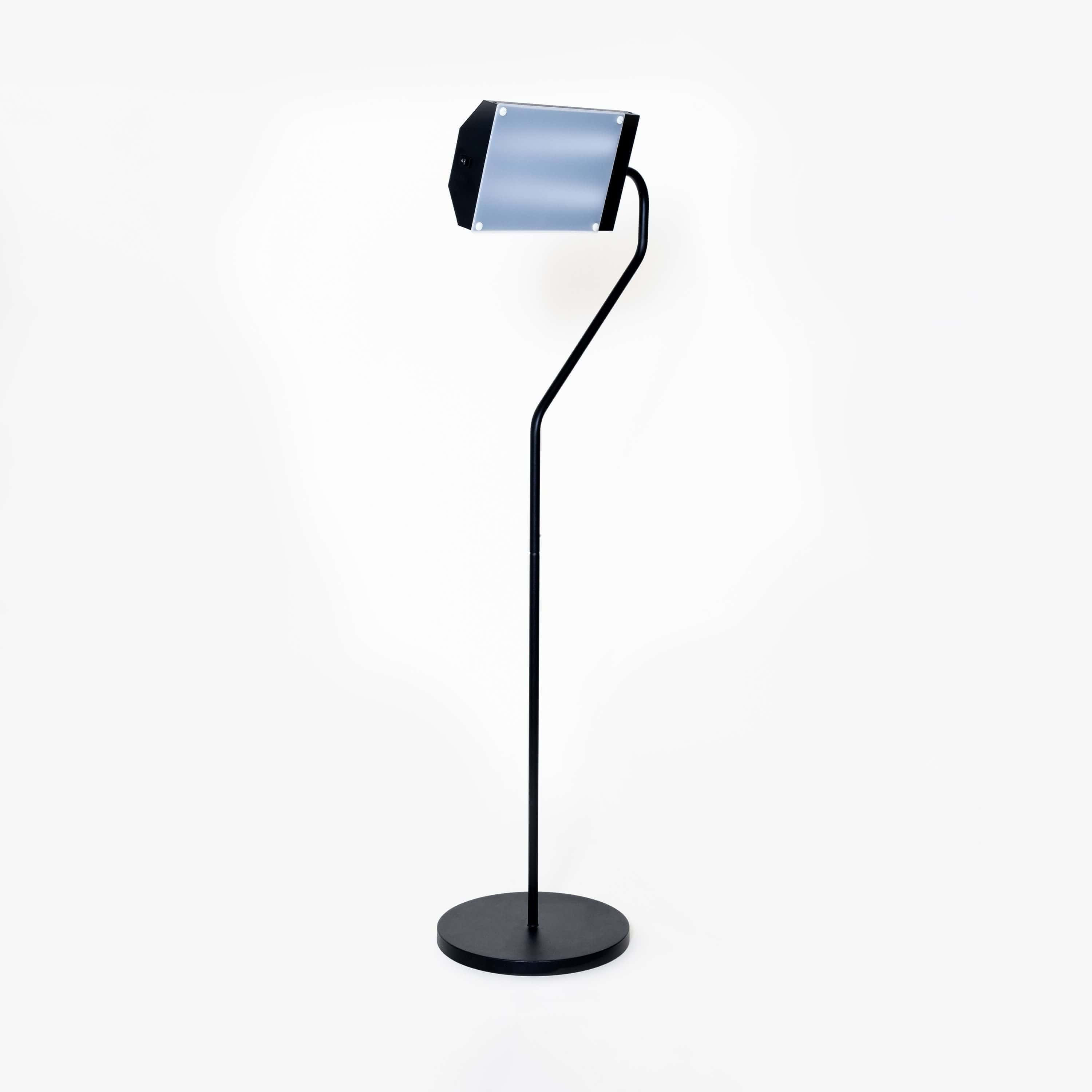 Northern Light 48'' Black Task Floor Lamp & Reviews - Wayfair Canada