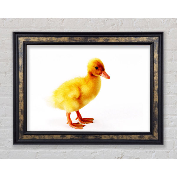 Bright Star Duckling - Single Picture Frame Art Prints | Wayfair.co.uk