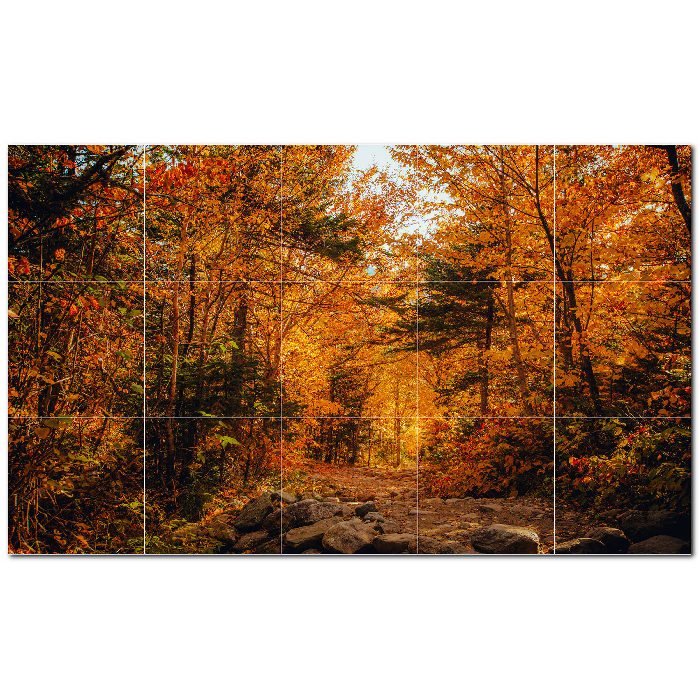 Picture-Tiles.com Autumn Photo 8'' x 8'' Satin Ceramic Decorative Mural ...