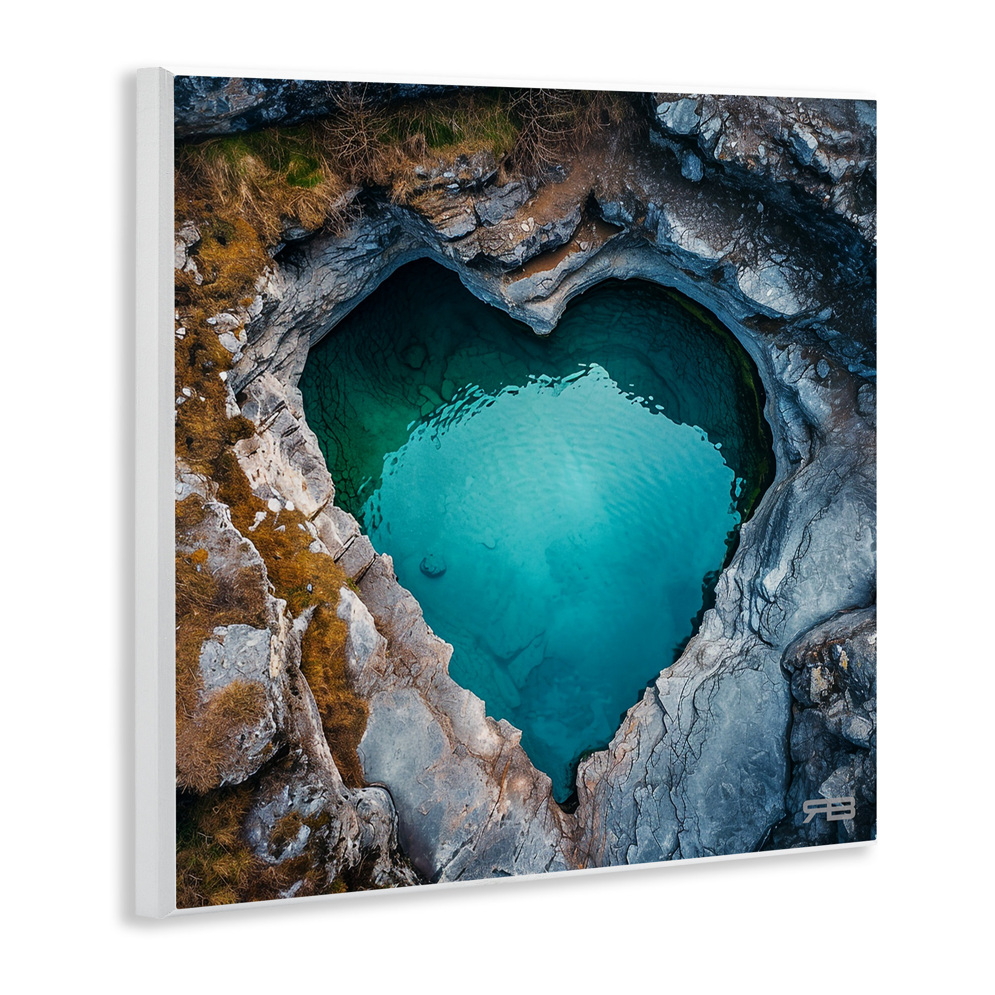 Ophelia & Co. Heart Shaped Natural Pool Wall Plaque Art by RB - Wayfair ...