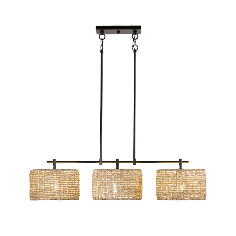 Bayou Breeze 3-Light Modern Farmhouse Black Finish Drum Chandelier With ...
