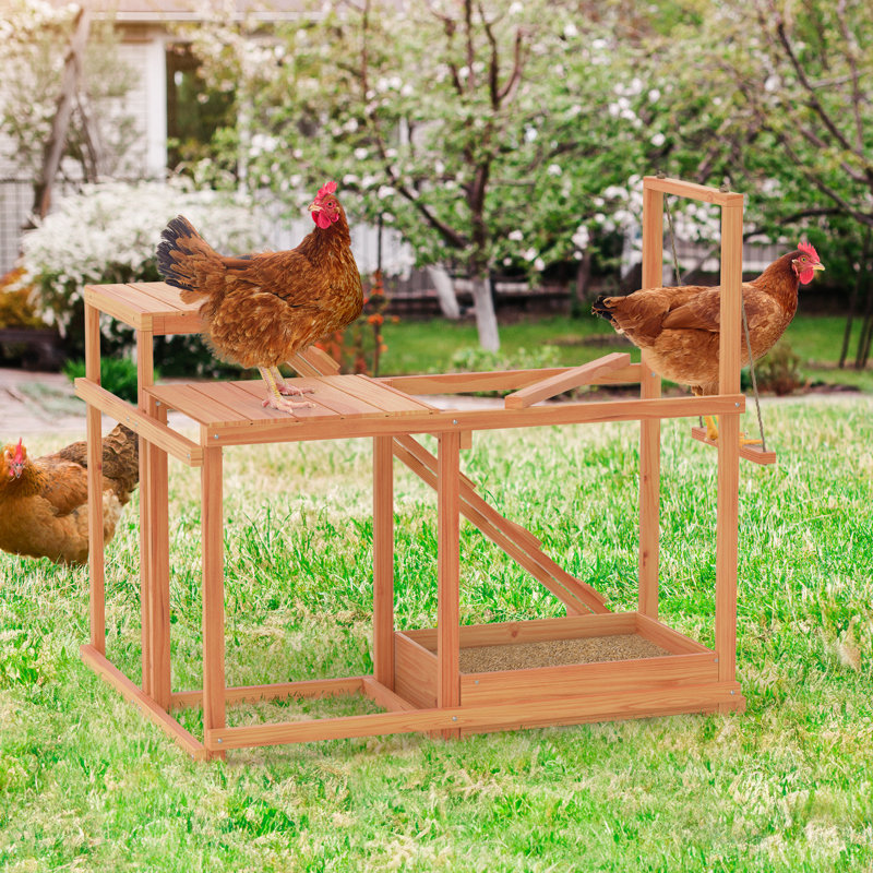 Tucker Murphy Pet™ Chicken Activity Play Swing Set With Chicken Perches ...