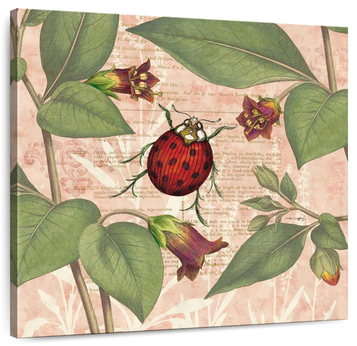 Ebern Designs Crowle Botanical Nature Bug | Wayfair