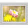 Bright Star Beautiful Summer Pink Flower - Single Picture Frame Art ...