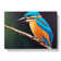 ClassicLiving Staggering Kingfisher Bird - Wrapped Canvas Graphic Art ...