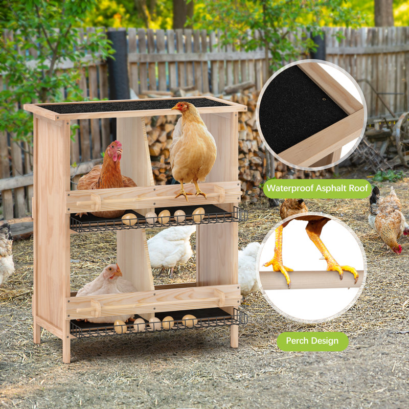 Archie & Oscar™ 2-Tier Free Roll Away Nesting Box for Chickens With ...