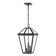Lark Manor Swerve 3 - Light Outdoor Hanging Lantern & Reviews | Wayfair