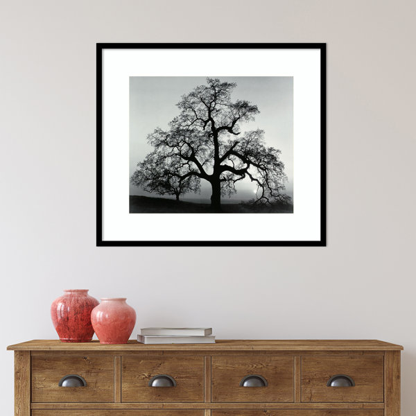 Wildon Home® Oak Tree Sunset City California 1962 Framed On Paper by ...