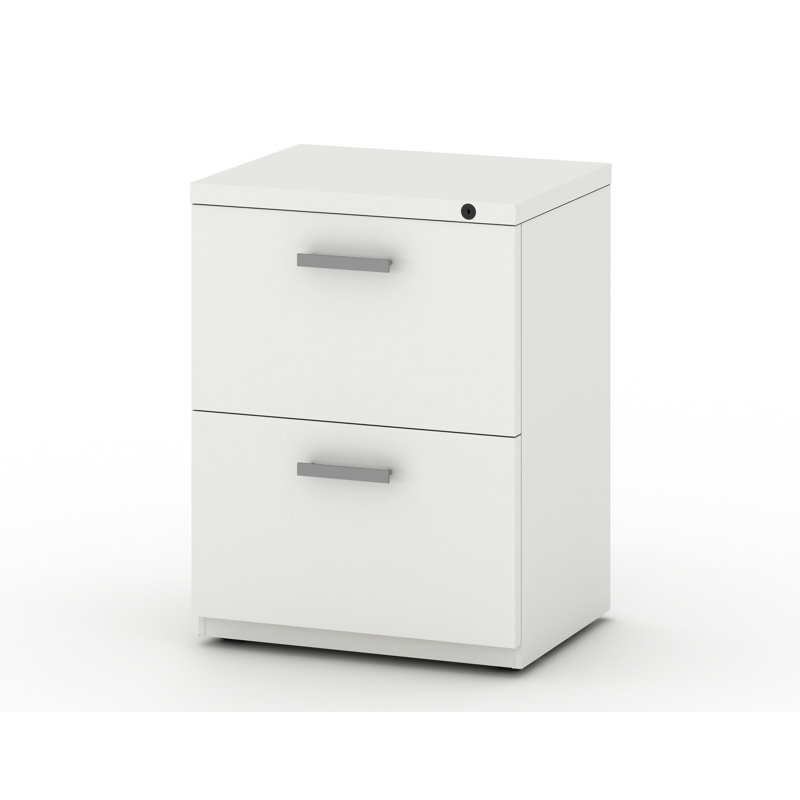 Friant My-Hite Metal Vertical Filing Cabinet with 2 Drawers, 4 Casters ...