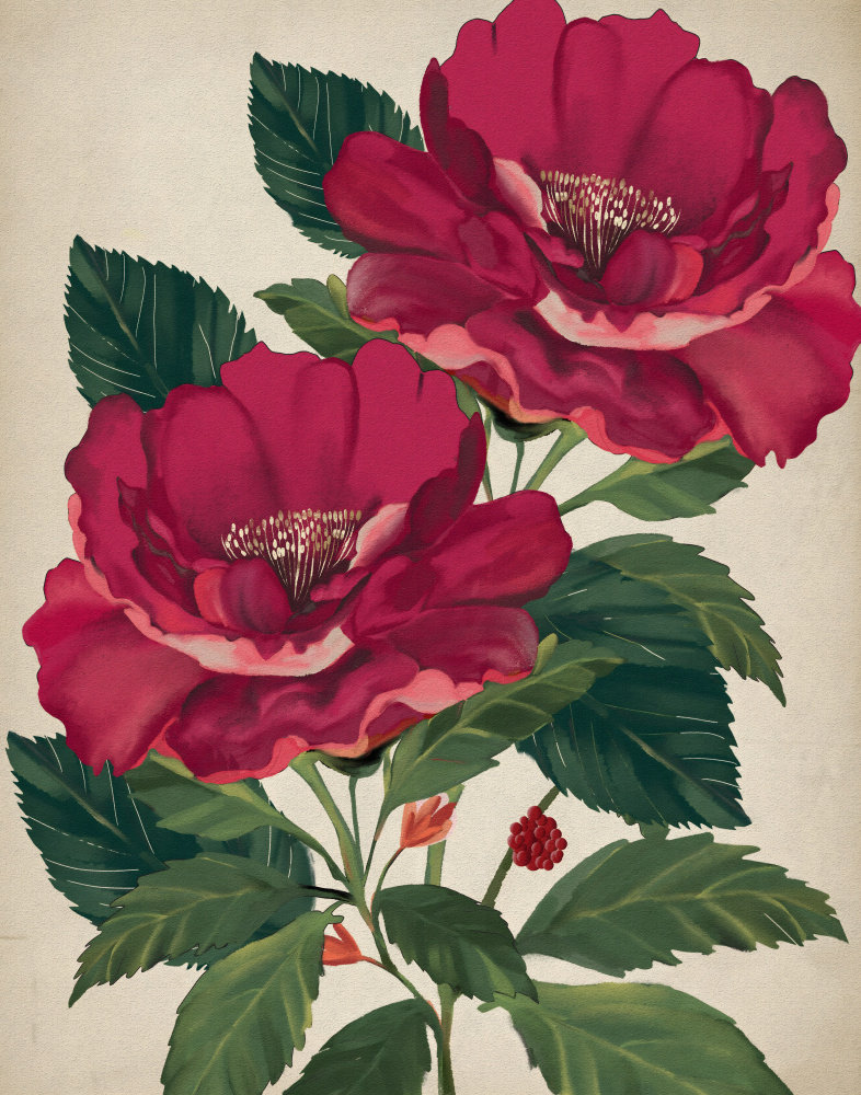 Lark Manor Rose of Providence | Wayfair.co.uk