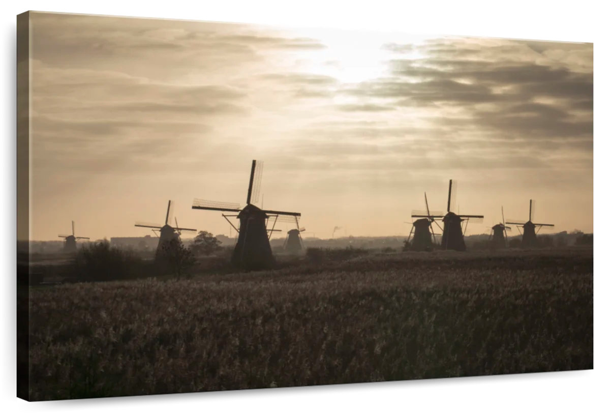 Elephant Stock Windmill Field Sunset | Wayfair